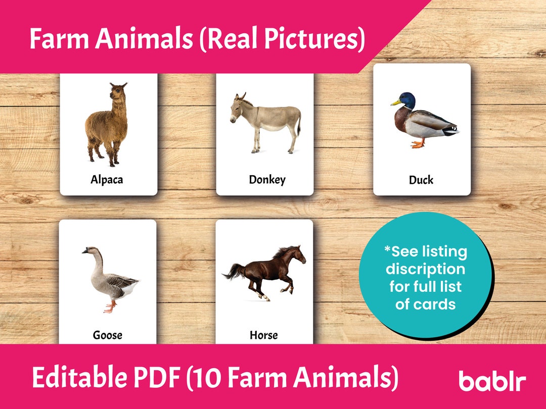 Farm Animals (real Pictures) • Editable Montessori Cards • PDF ...