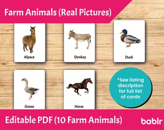 Farm Animals real Pictures Editable Montessori Cards PDF Printable ...