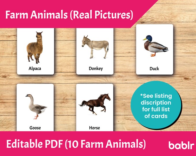 Farm Animals real Pictures Editable Montessori Cards PDF Printable ...