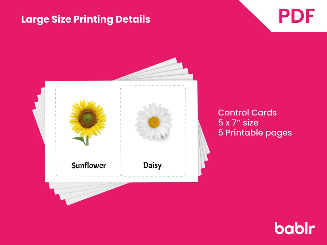 Flowers (real Pictures) • Editable Montessori Cards • PDF Printable ...