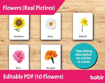 Gardening Tools • Editable Montessori Cards • PDF Printable Toddler ...
