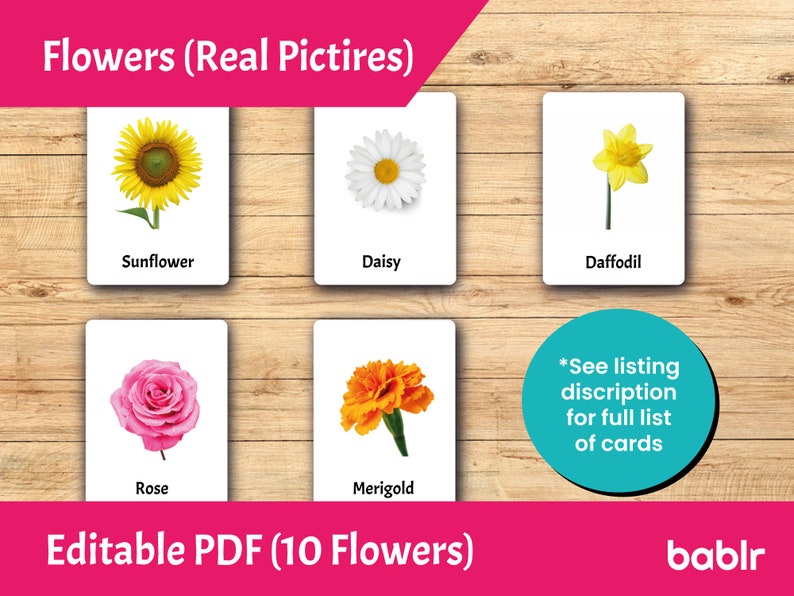 Flowers (real Pictures) • Editable Montessori Cards • PDF Printable ...