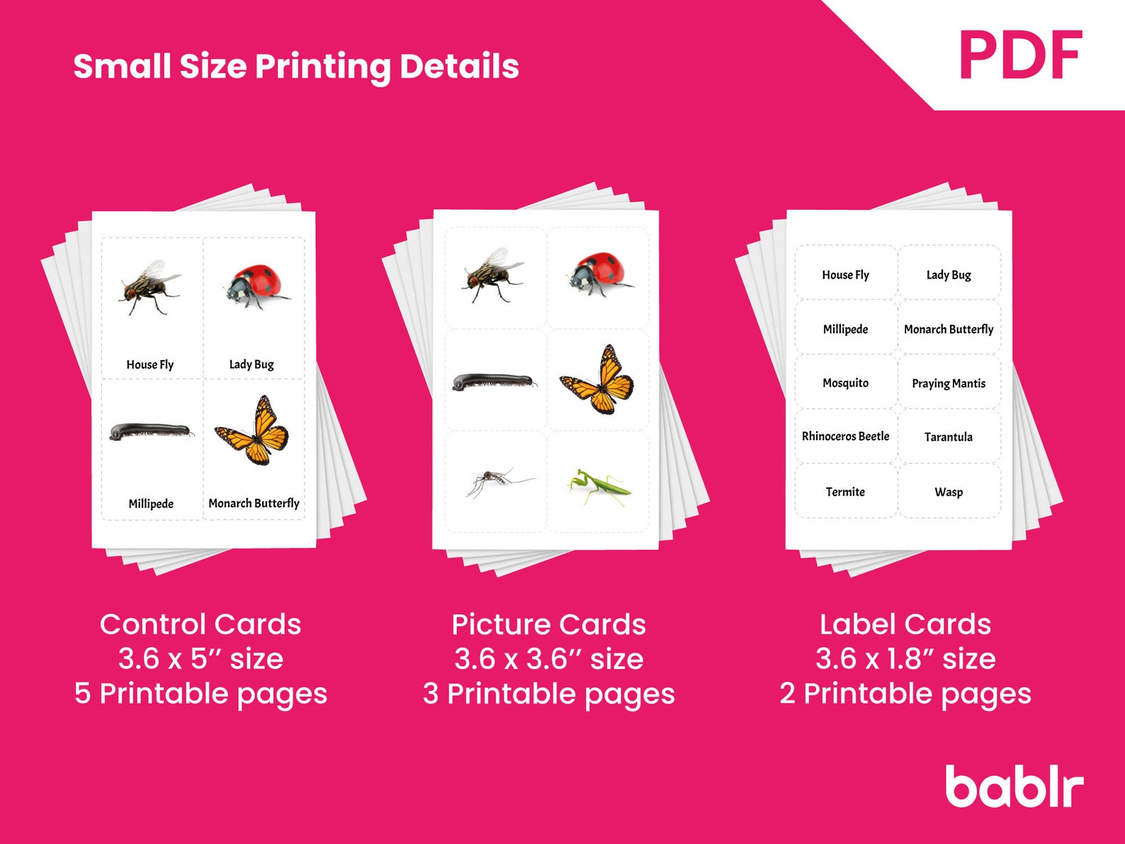 Insects & Bugs • Editable Montessori Cards • PDF Printable Toddler ...