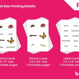 Insects & Bugs • Editable Montessori Cards • PDF Printable Toddler ...