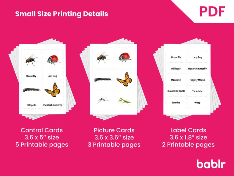 Insects & Bugs • Editable Montessori Cards • PDF Printable Toddler ...