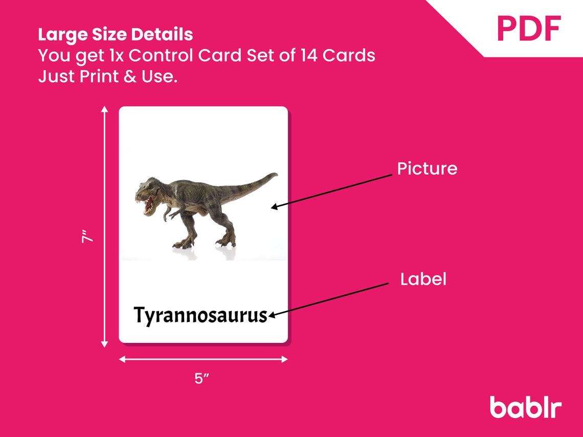 Dinosaurs • Editable Montessori Cards • PDF Printable Toddler ...