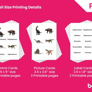 Dinosaurs • Editable Montessori Cards • PDF Printable Toddler ...