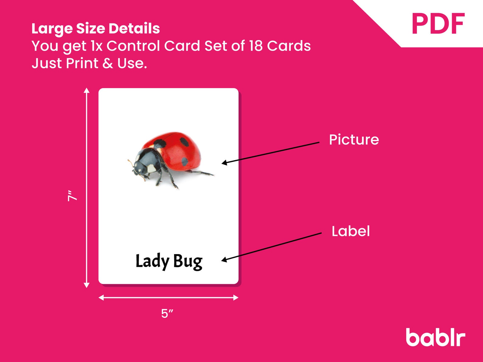 Insects & Bugs • Editable Montessori Cards • PDF Printable Toddler ...