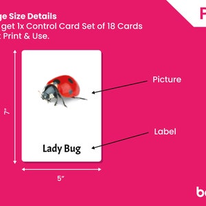 Insects & Bugs • Editable Montessori Cards • PDF Printable Toddler ...