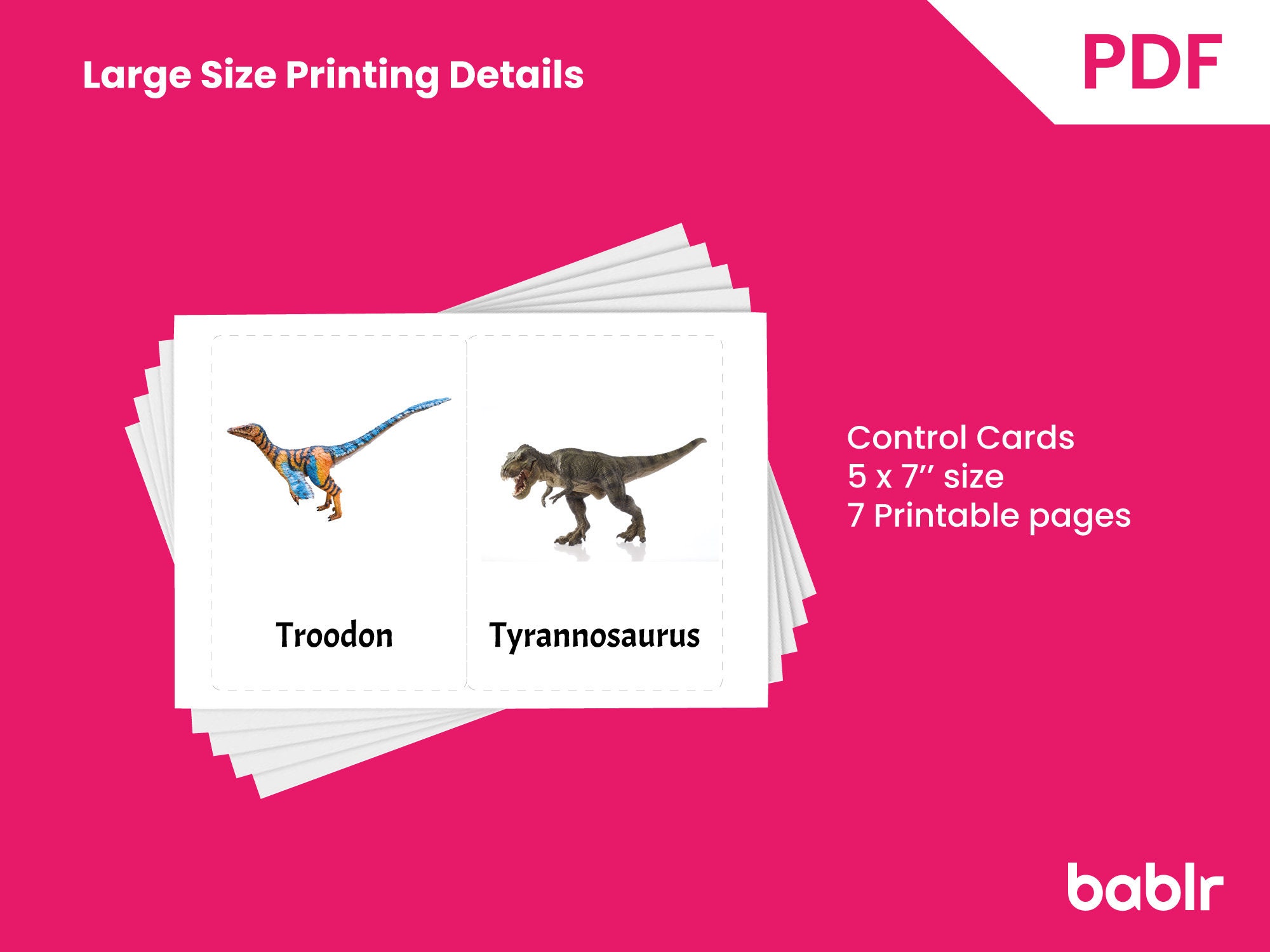 Dinosaurs • Editable Montessori Cards • PDF Printable Toddler ...