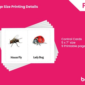 Insects & Bugs • Editable Montessori Cards • PDF Printable Toddler ...