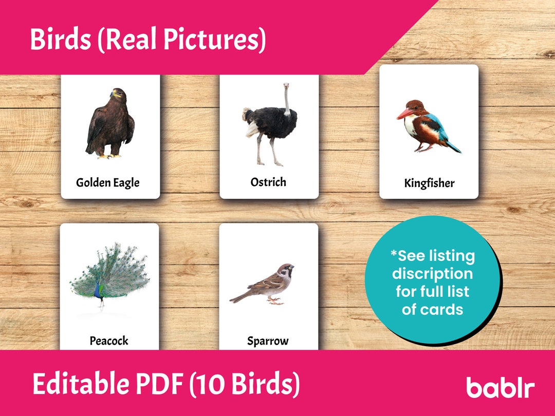 Birds (real Pictures) • Editable Montessori Cards • PDF Printable ...