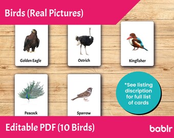 Dinosaurs • Editable Montessori Cards • PDF Printable Toddler ...