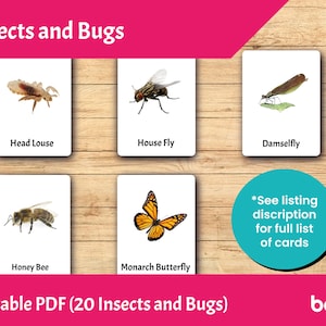 Insects & Bugs • Editable Montessori Cards • PDF Printable Toddler ...