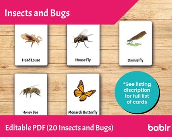 Musical Instruments Editable Montessori Cards PDF - Etsy