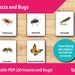 Insects & Bugs • Editable Montessori Cards • PDF Printable Toddler ...