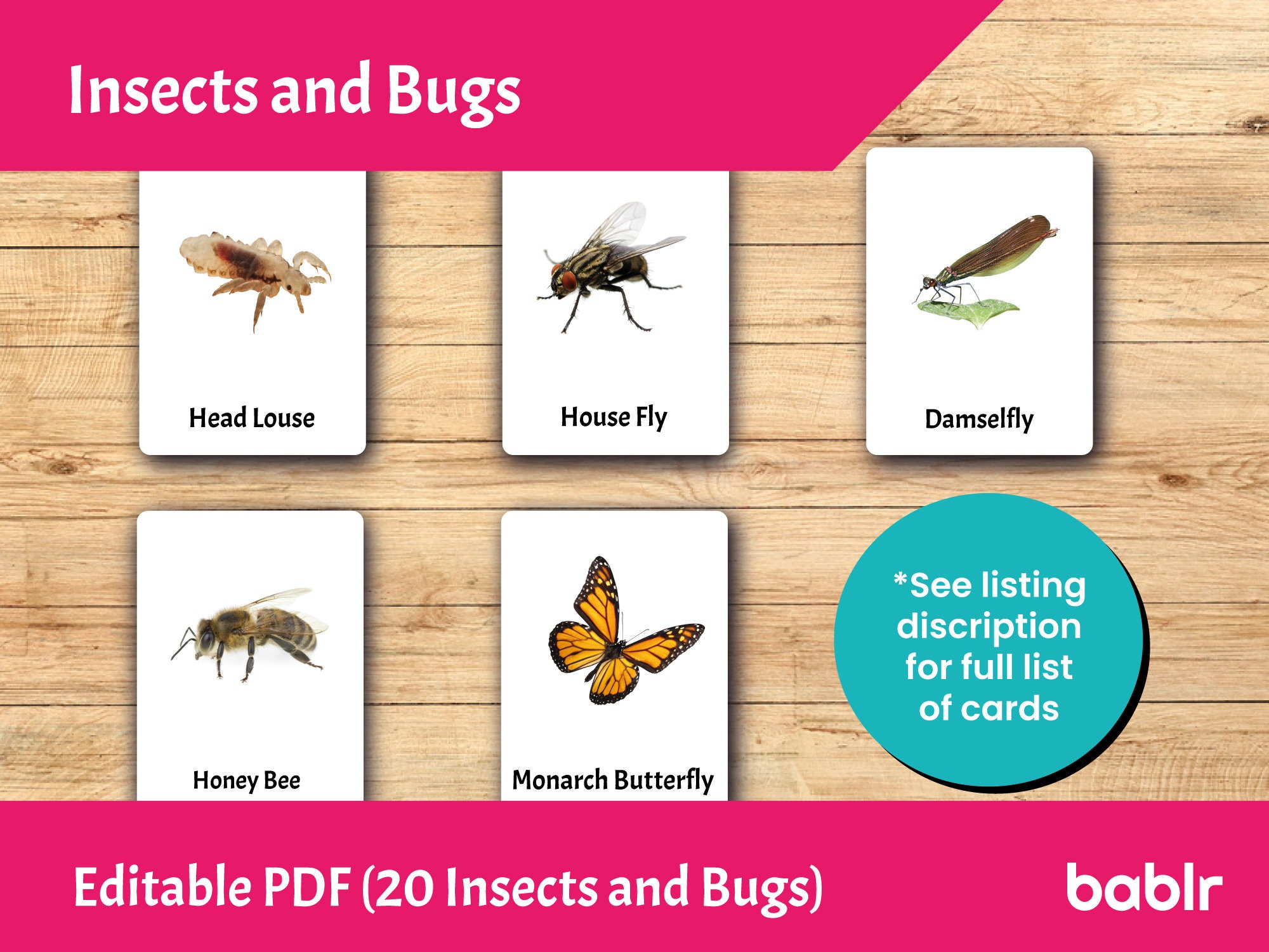 Insects & Bugs • Editable Montessori Cards • PDF Printable Toddler ...