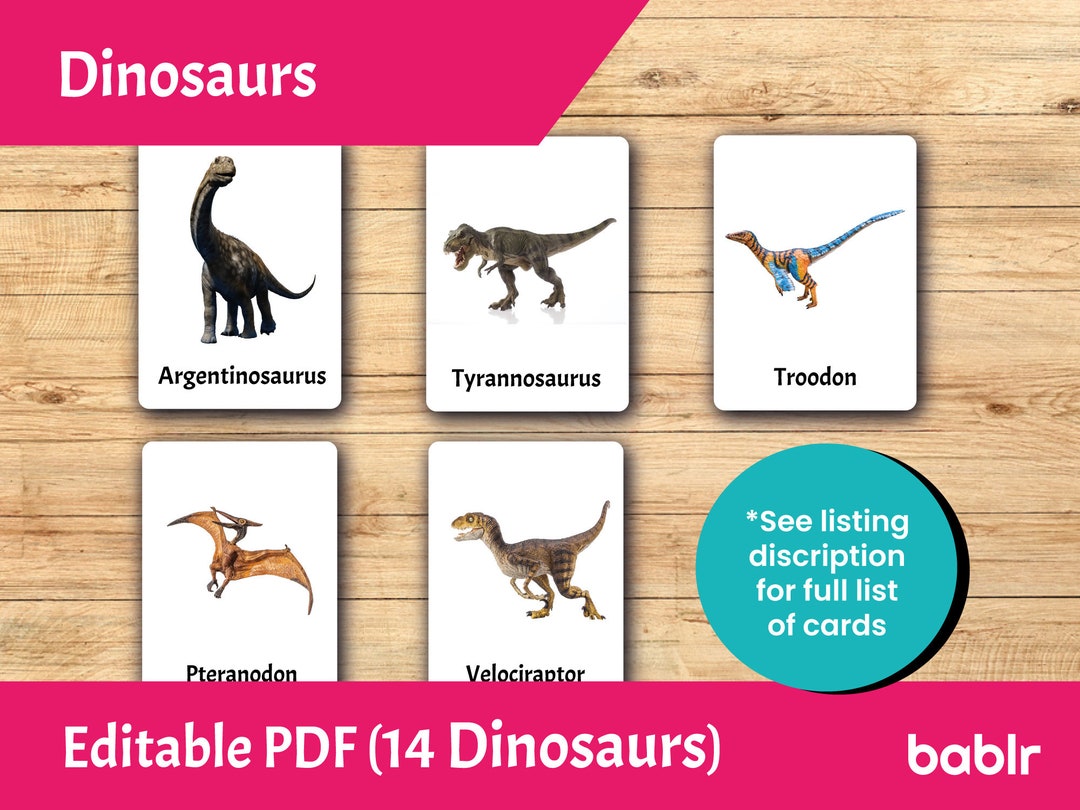 Dinosaurs • Editable Montessori Cards • PDF Printable Toddler ...