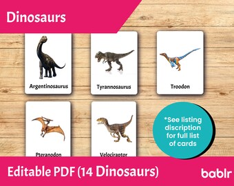 Dinosaurs • Editable Montessori Cards • PDF Printable Toddler ...