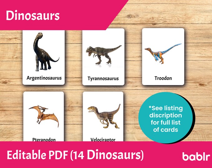 Dinosaurs • Editable Montessori Cards • PDF Printable Toddler ...