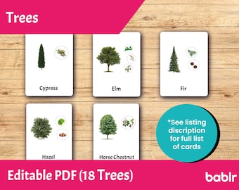 Musical Instruments Editable Montessori Cards PDF - Etsy