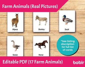 Domestic Animals Flashcards With Real Pictures Farm Animals - Etsy