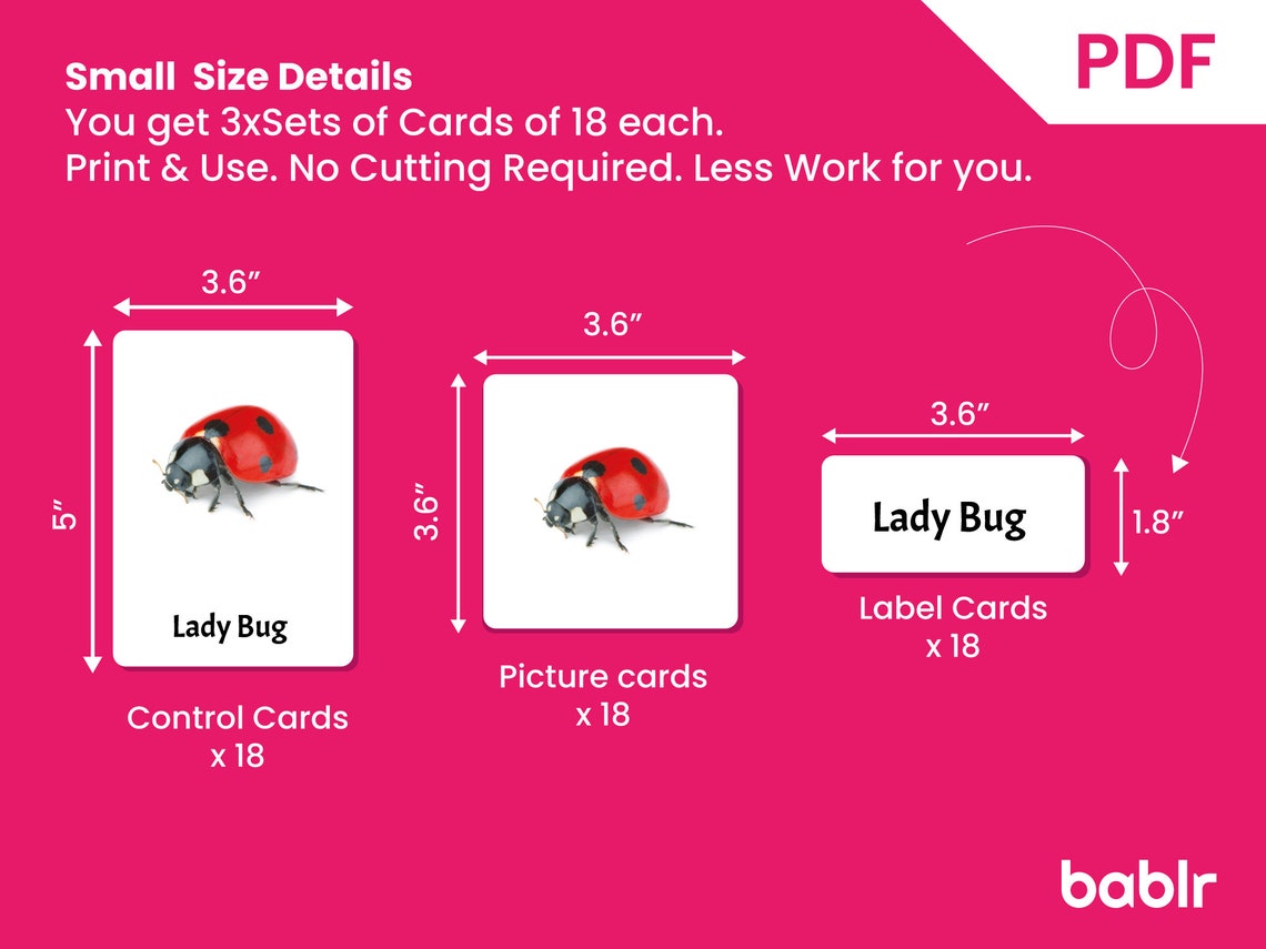 Insects & Bugs • Editable Montessori Cards • PDF Printable Toddler ...