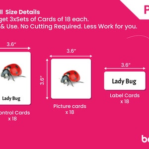 Insects & Bugs • Editable Montessori Cards • PDF Printable Toddler ...