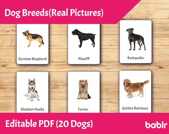 Uk's Physical Map • Editable Montessori Cards • PDF Printable Kids ...