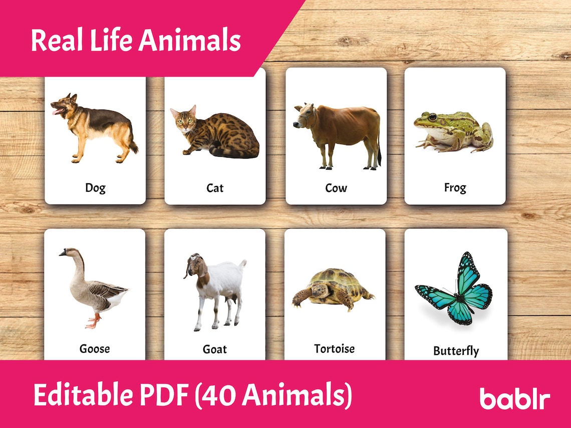 Editable Montessori Cards • PDF Printable Toddler Flashcards • 3- Part ...