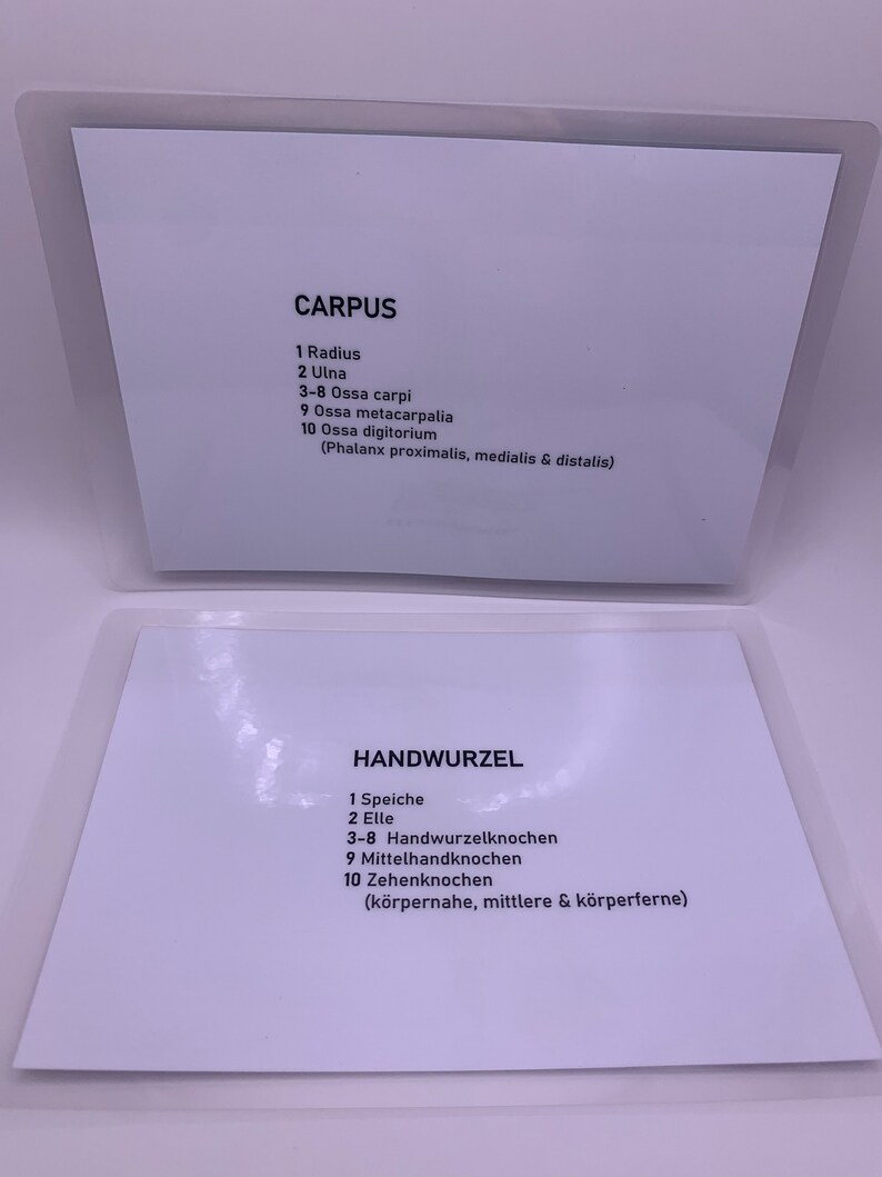 Dog Bone Cards Dog Skeleton Flash Cards Dog Skeleton Cards - Etsy