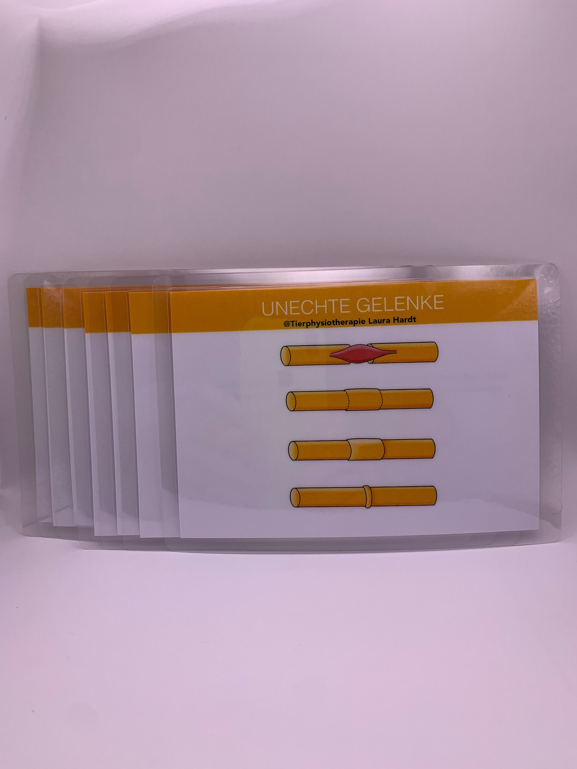 Joint Cards Dogs Learning Cards Dog Joints Dog Joint Cards - Etsy