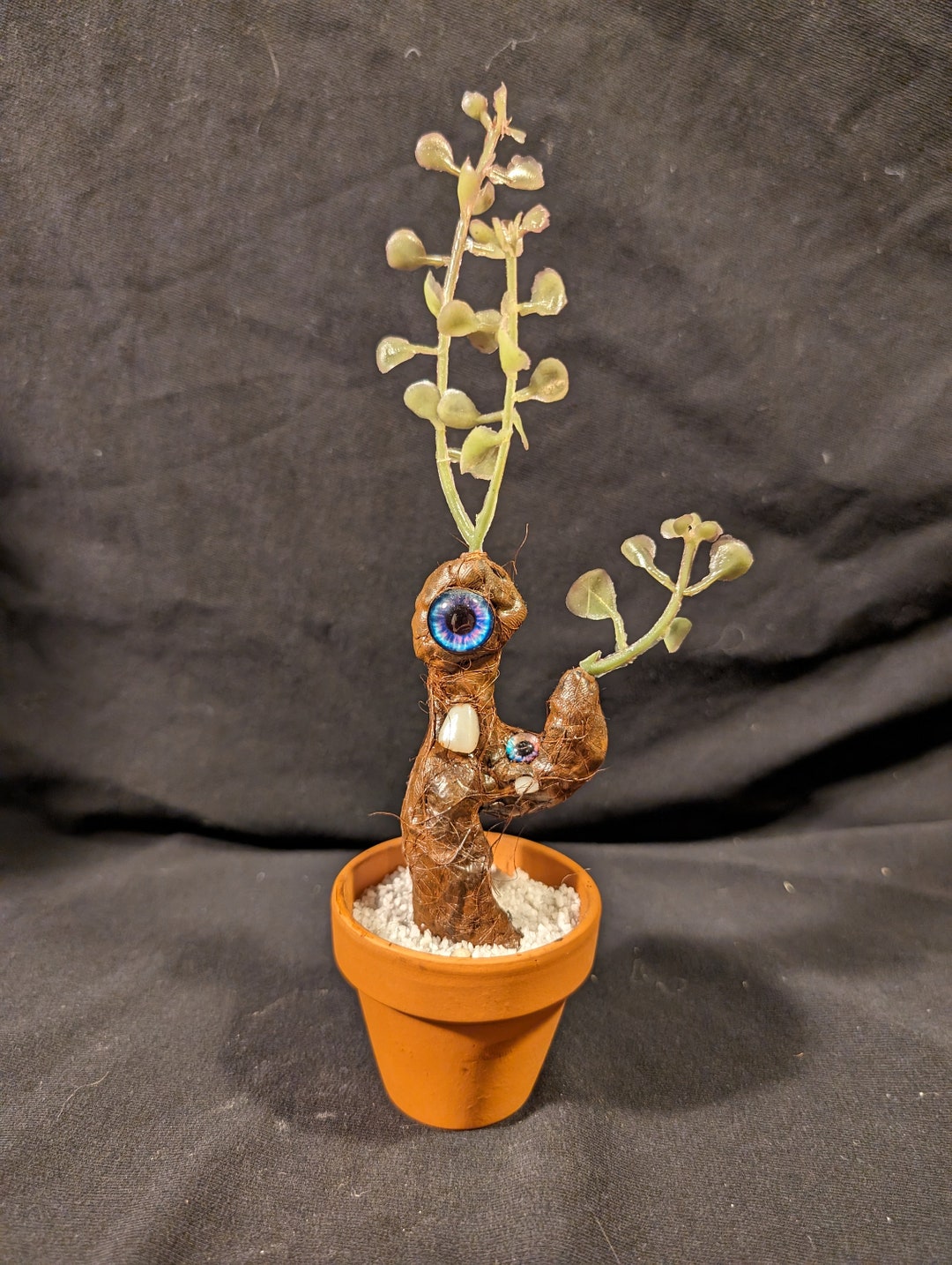 Mandragora Frustrata small - Etsy