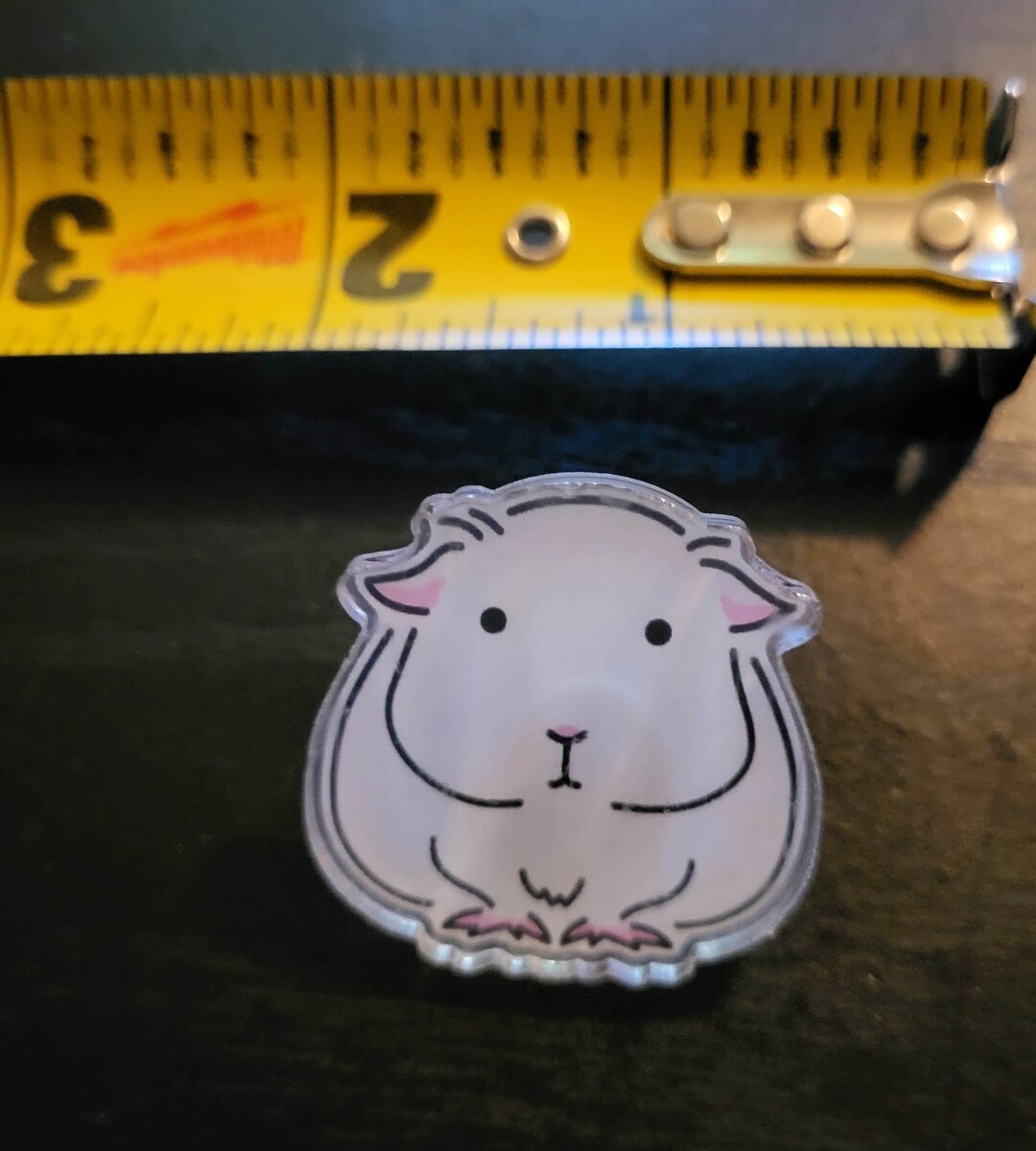2" Acrylic Guinea Pig Pins - Etsy