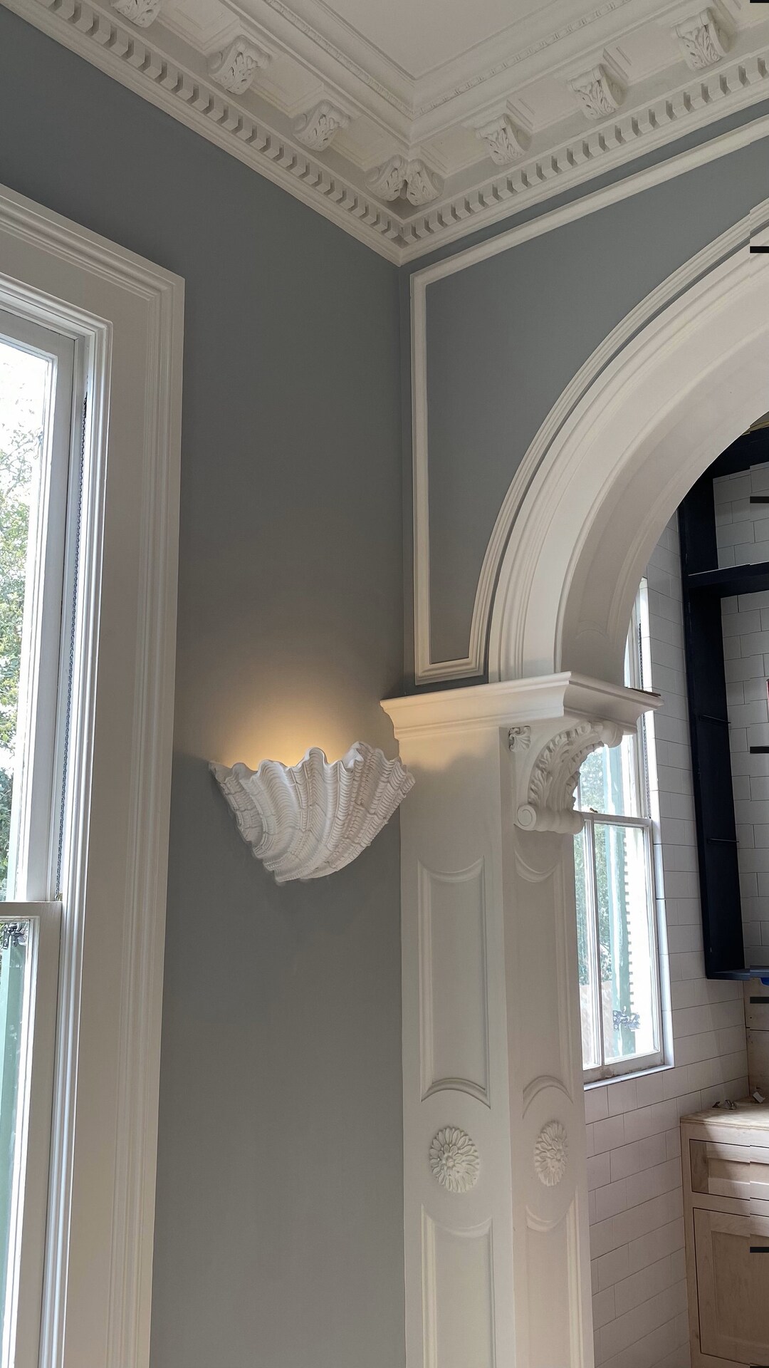 Plaster Shell Sconce - Etsy