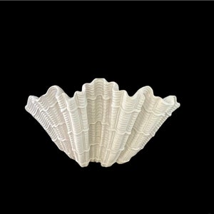 Plaster Shell Sconce - Etsy