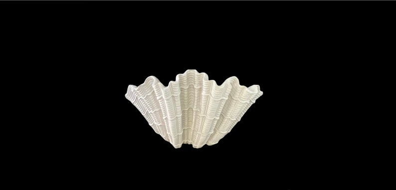 Plaster Shell Sconce - Etsy
