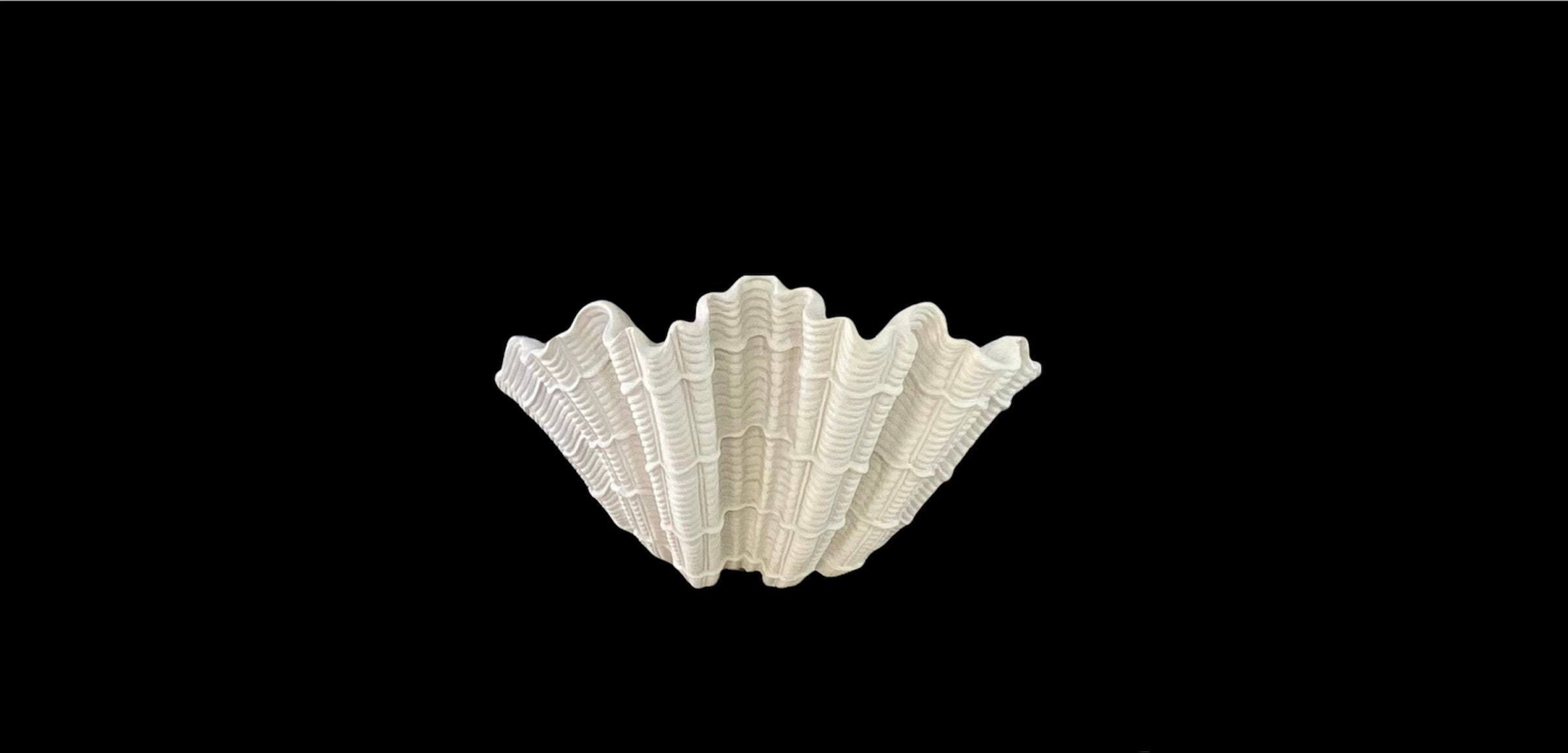Plaster Shell Sconce - Etsy