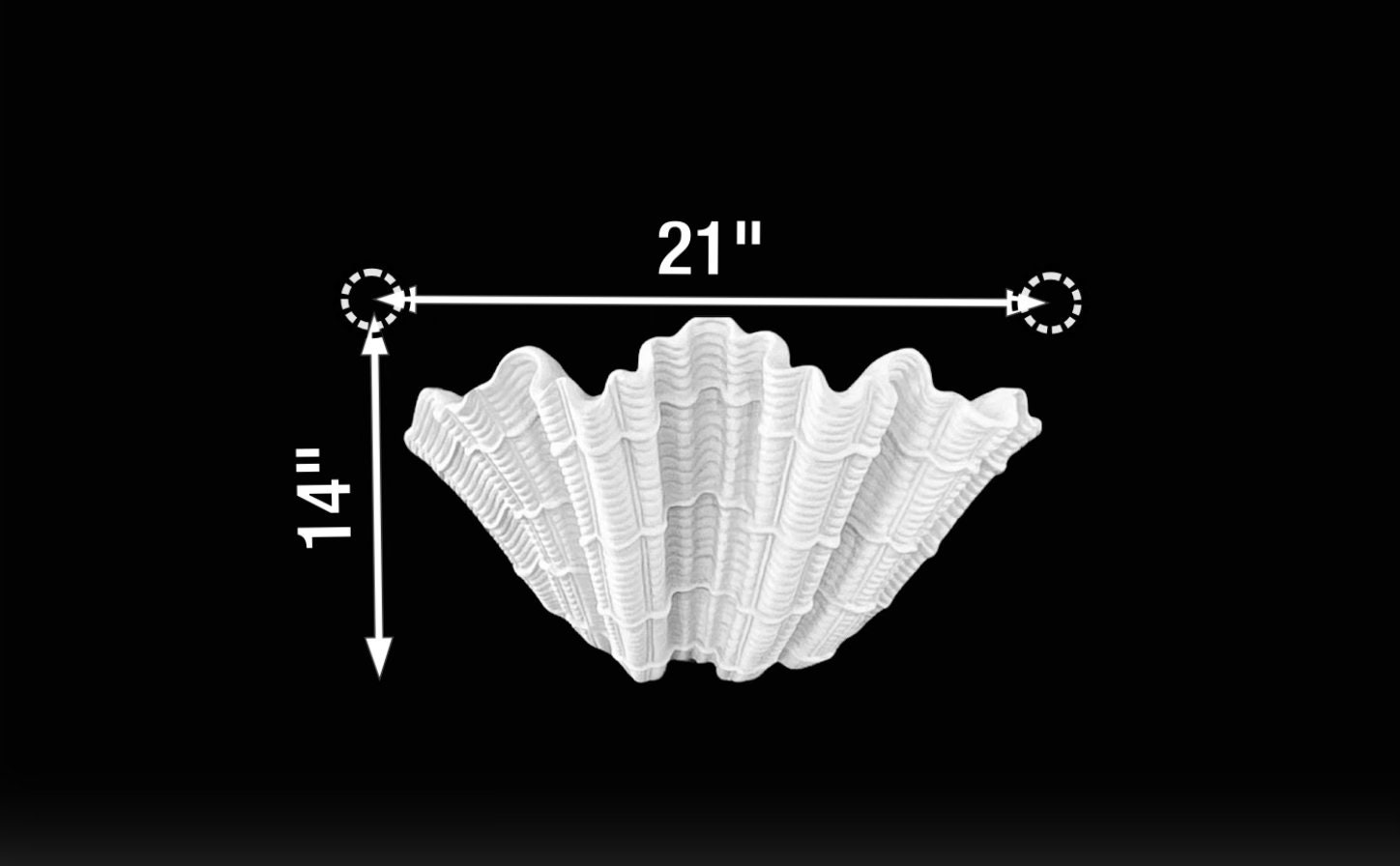 Plaster Shell Sconce - Etsy