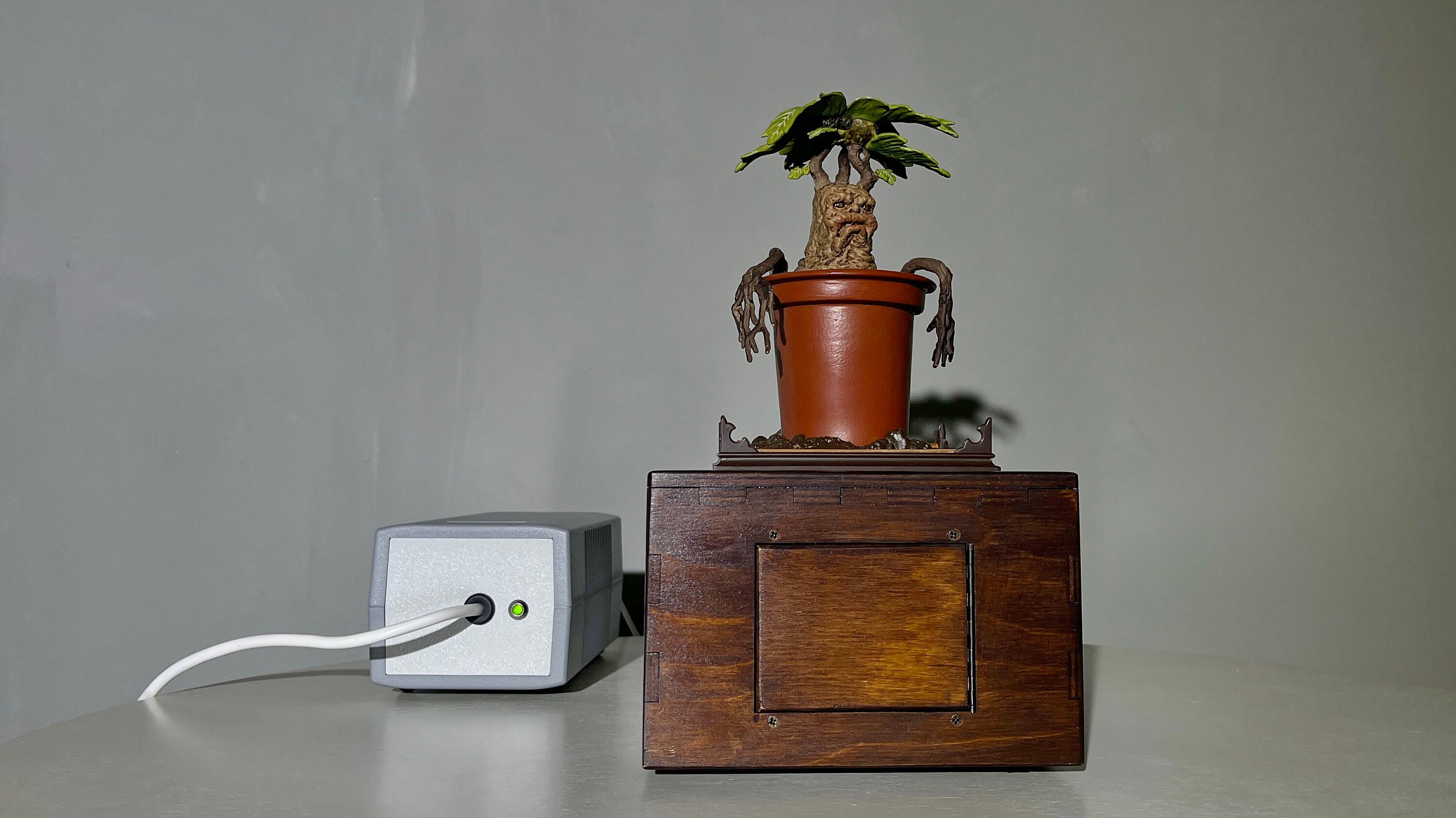 Flower Pot Puzzle With Built-in Box - Etsy