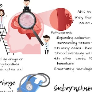 Anesthesia Notes Neuro Notes Pathophysiology Notes Medical School Notes ...