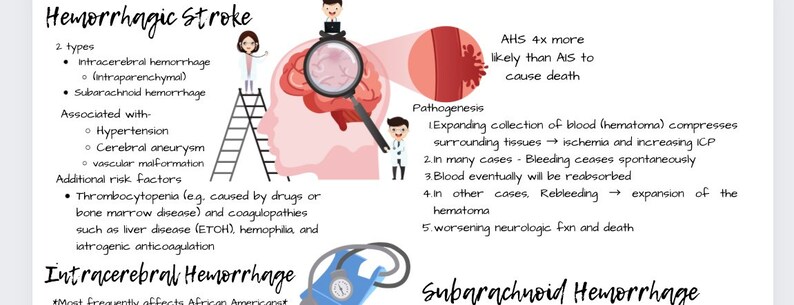 Anesthesia Notes Neuro Notes Pathophysiology Notes Medical School Notes ...