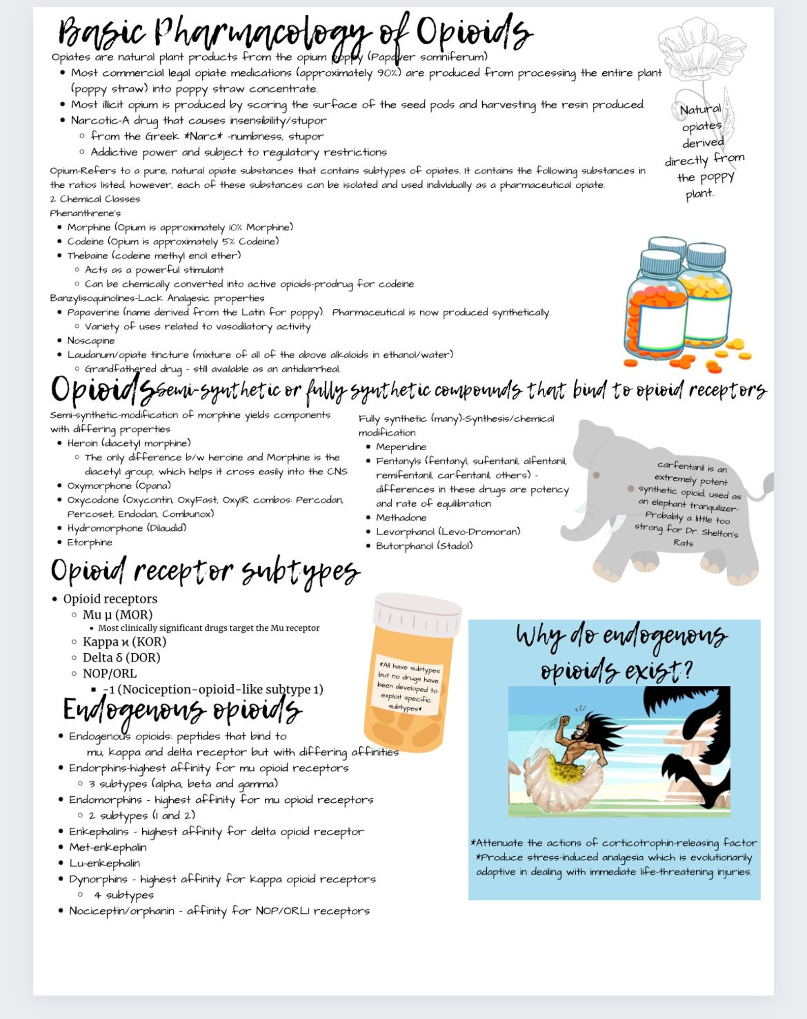 Anesthesia Notes Opioid Notes Pharmacology Notes Medical School Notes ...