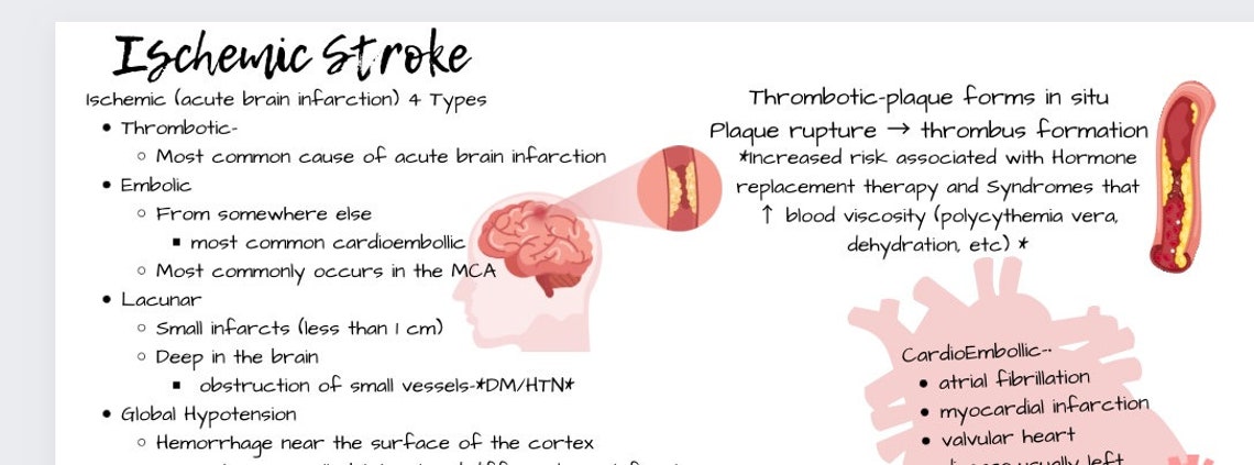 Anesthesia Notes Neuro Notes Pathophysiology Notes Medical School Notes ...