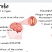 Anesthesia Notes Neuro Notes Pathophysiology Notes Medical School Notes ...