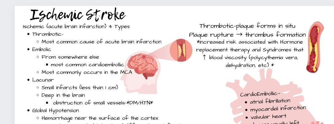 Anesthesia Notes Neuro Notes Pathophysiology Notes Medical School Notes ...