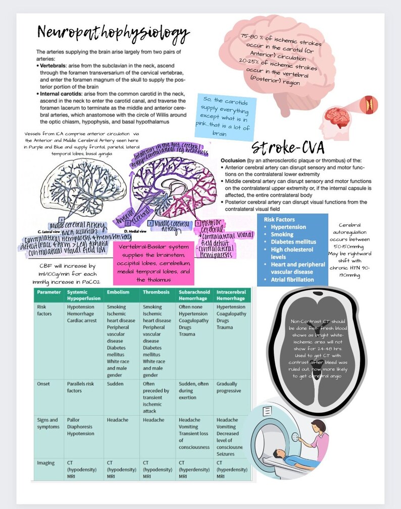 Anesthesia Notes Neuro Notes Pathophysiology Notes Medical School Notes ...