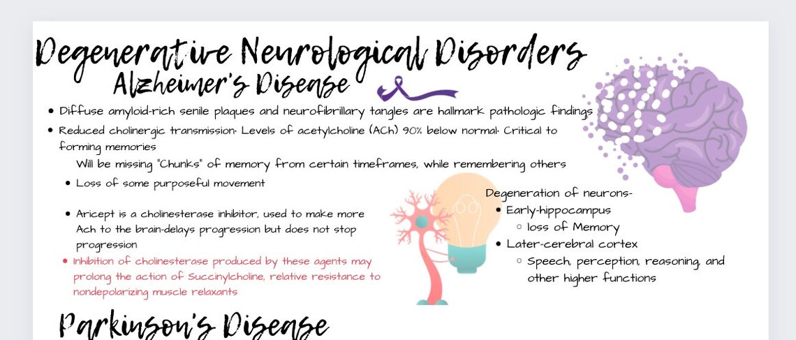 Anesthesia Notes Neuro Notes Pathophysiology Notes Medical School Notes ...