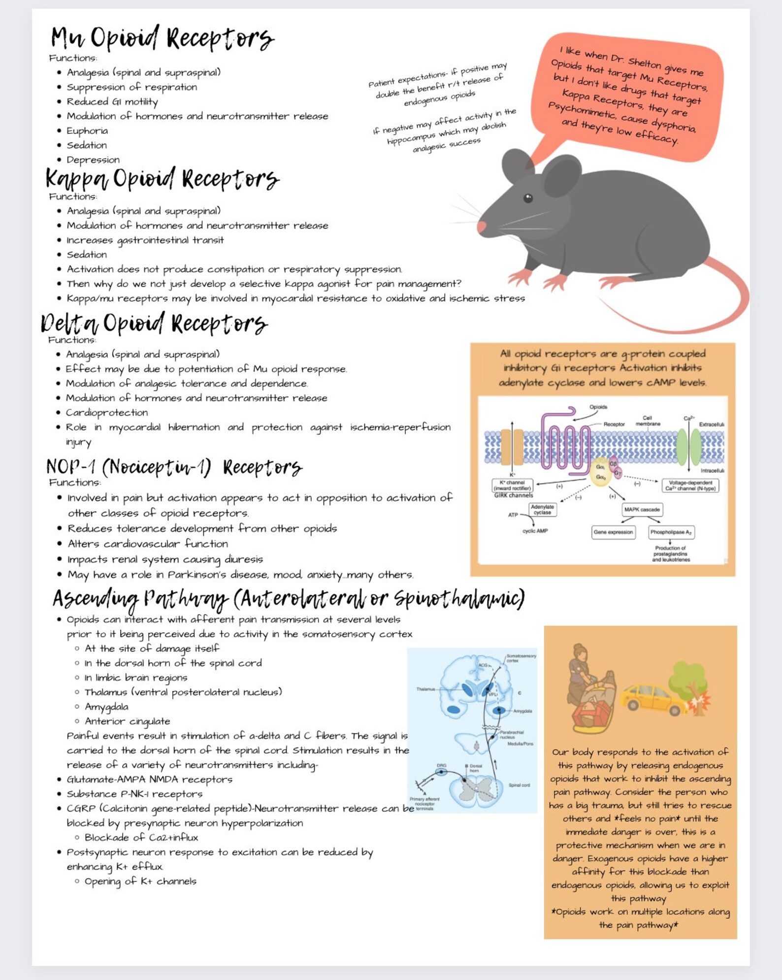 Anesthesia Notes Opioid Notes Pharmacology Notes Medical School Notes ...