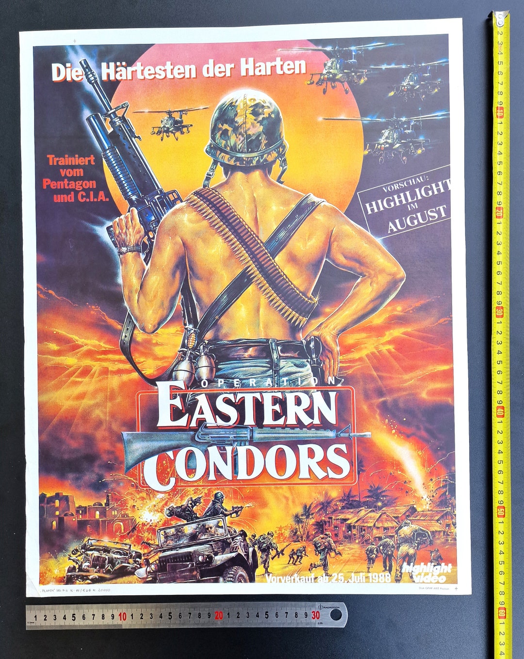 Eastern Condor Poster - Etsy